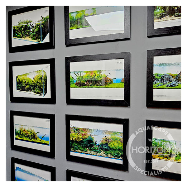 ADA Calendar 2025 (art posters can be used after) – horizon aquatics