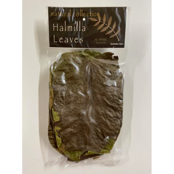 Halmilla Leaves by Natural Collection – horizon aquatics