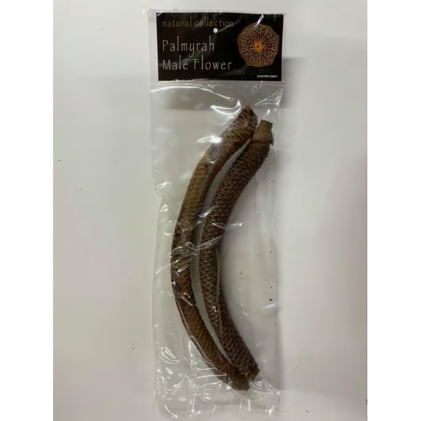 Palmyrah Stem by Natural Collection – horizon aquatics