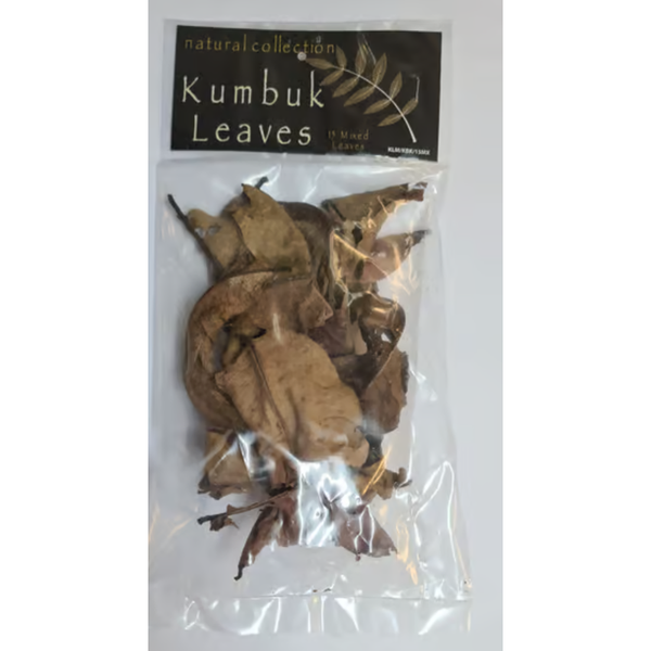 Kumbuk Leaves by Natural collection – horizon aquatics