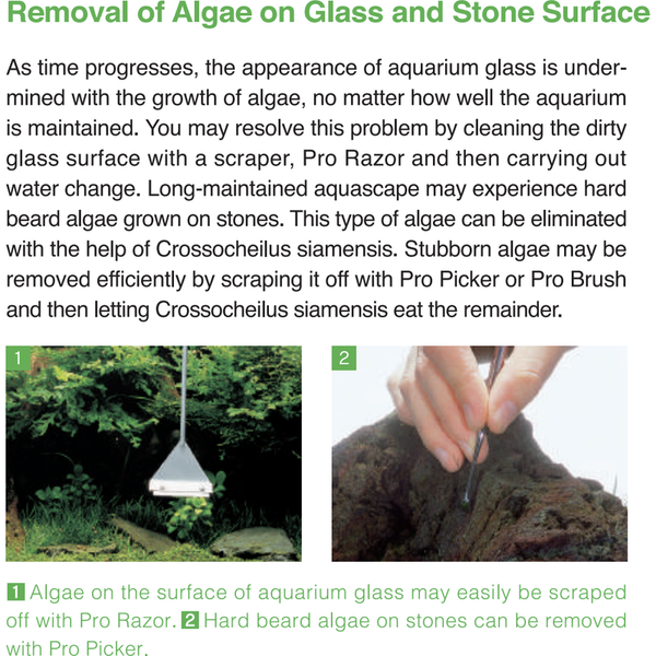 ADA Pro Razor Mini Replacement Blades – horizon aquatics