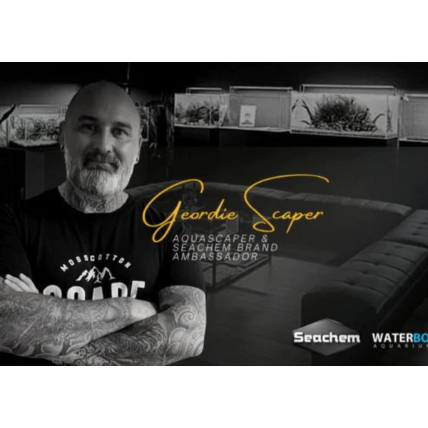 2021 Aquascaping Workshop - Geordie Scaper (Video available to watch ...