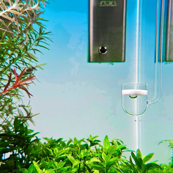 Glass Co2 Diffuser Curved – horizon aquatics