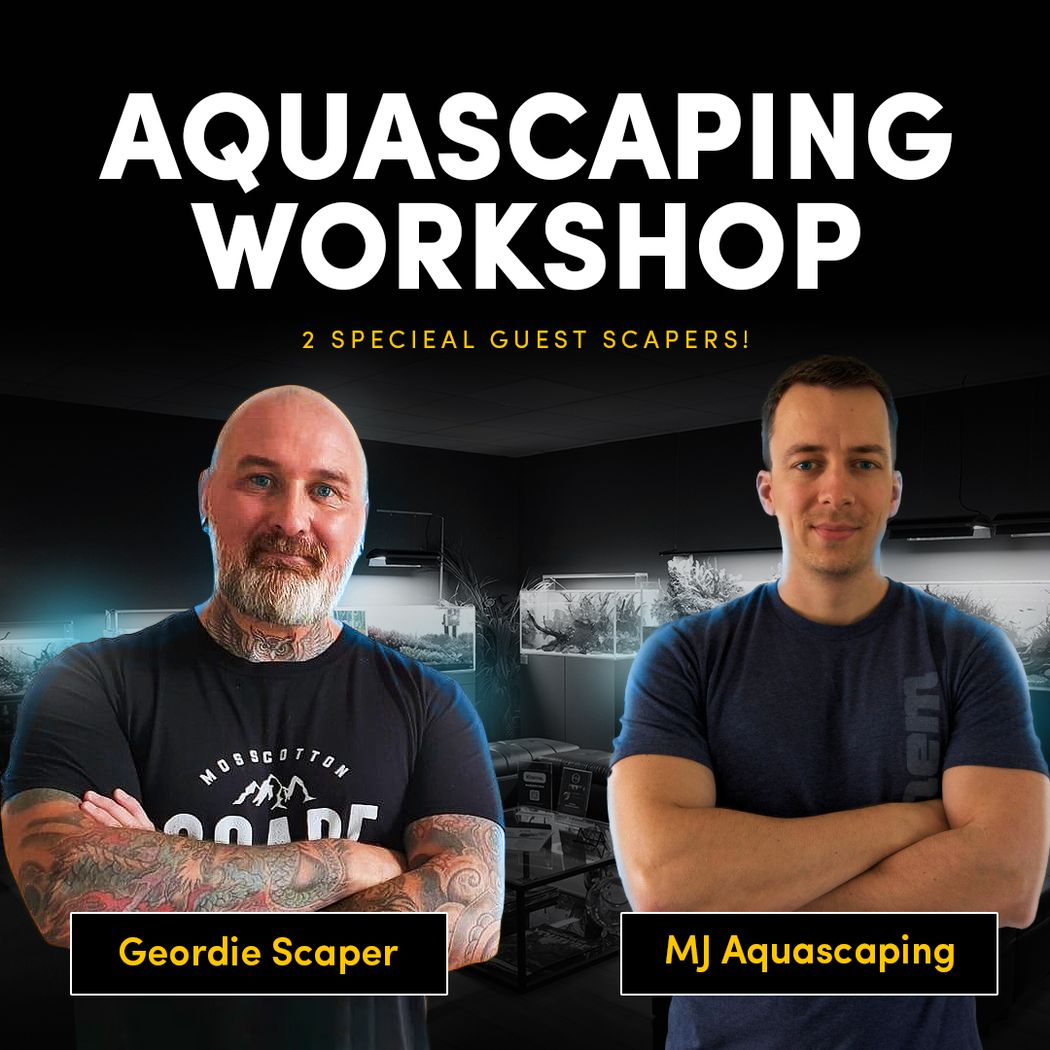 MJ Aquascaping & Geordie Scaper Aquascaping Workshop – horizon aquatics
